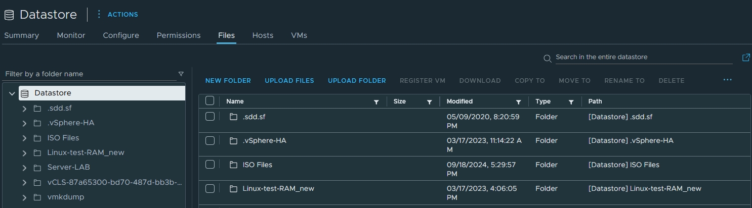 Recover an accidentally deleted VMFS Datastore (vSphere version 8) - IT ...